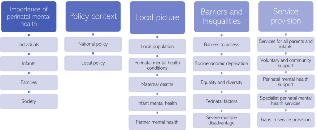 Cambridgeshire & Peterborough Insight – Mental Health Needs Assessment – Perinatal mental health